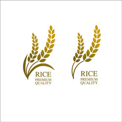 Premium rice great quality design concept Vector Image