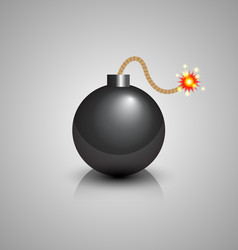 Black sphere bomb burning fuse Royalty Free Vector Image