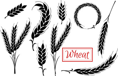 Wheat icon Royalty Free Vector Image - VectorStock