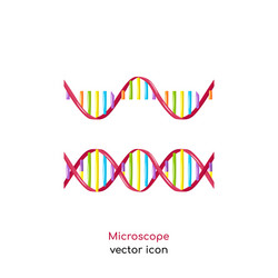 Infographic dna and rna spiral ribonucleic vs Vector Image