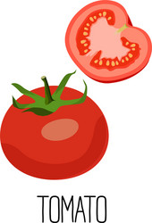 Tomato isolated on white background Royalty Free Vector