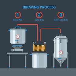 Beer infographic or brewery line factory process Vector Image