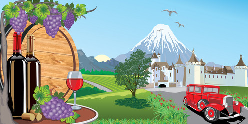 Wine and vineyard Royalty Free Vector Image - VectorStock