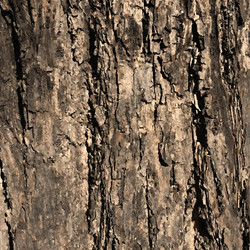 Fake Wood Texture Vector Images (over 120)