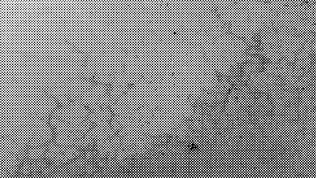 Circle Overlay Vector Images (over 50,000)