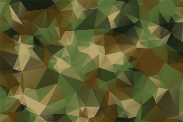 Triangle Camouflage Vector Images (over 2,000)