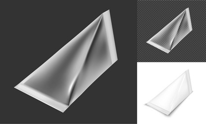Transparent triangular cardboard package Vector Image