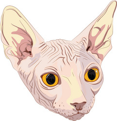 Sphynx Cat Vector Images (over 1,100)