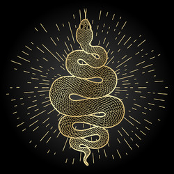 Coiled Snake Logos Vector Images (over 140)