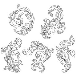 Decorative floral frame in baroque style engraved Vector Image