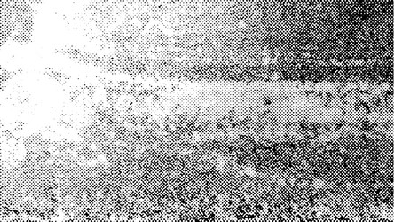 Spotted rough halftone texture overlay Royalty Free Vector