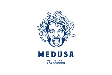 Greek mythology perseus fighting medusa Royalty Free Vector