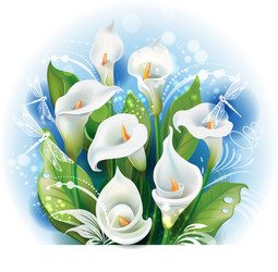 Calla Vector Images (over 2,600)