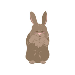 Funny brown rabbit sitting on hind legs white Vector Image