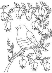 Bird sitting on a branch coloring page Royalty Free Vector