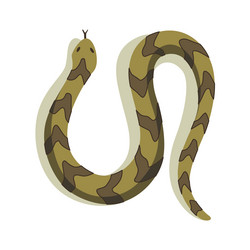 Venomous snake danger color animal poisonous Vector Image