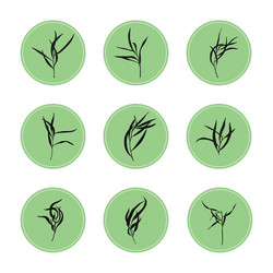 Insta Highlight Vector Images (over 490)