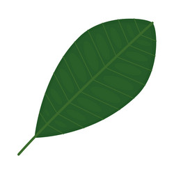Round Leaf Vector Images (over 82,000)