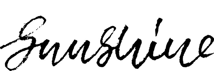 Sunshine modern dry brush lettering Royalty Free Vector