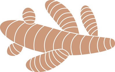 Turmeric Icon Vector Images (over 800)