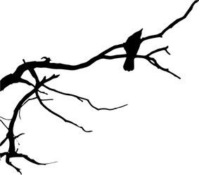 Dry tree silhouette Royalty Free Vector Image - VectorStock