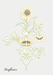 Sunflower color Royalty Free Vector Image - VectorStock
