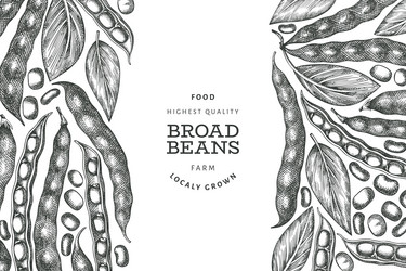 Hand drawn broad beans design template organic Vector Image