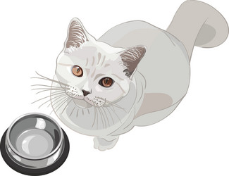 Cat Vector Images (over 340,000)