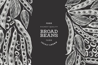 Hand drawn broad beans design template organic Vector Image