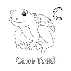 Cane toad frog animal coloring page Royalty Free Vector