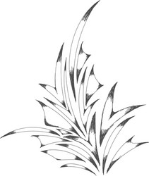 Floral corner border decorative design element Vector Image