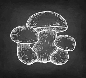 Penny bun mushroom chalk sketch Royalty Free Vector Image