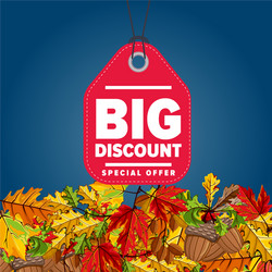 Special offer season big discount promotion Vector Image