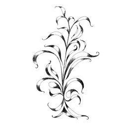 Floral corner border decorative design element Vector Image