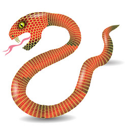 Red Snake Vector Images (over 2,700)