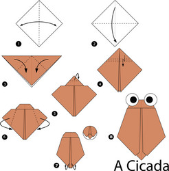 Step instructions how to make origami a cicada Vector Image