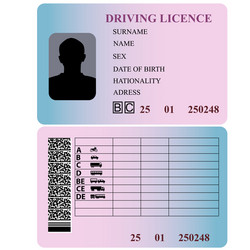Drivers license a plastic identity card Royalty Free Vector