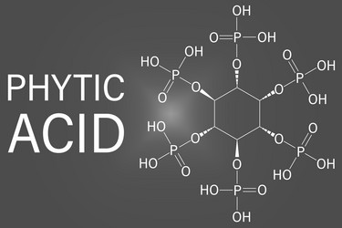 Phytic acid molecule skeletal formula Royalty Free Vector