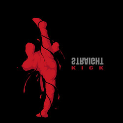 Taekwondo kick splash silhouette Royalty Free Vector Image