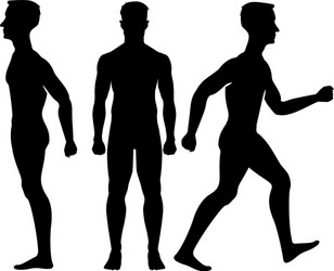 Human Body Outline Side Front Vector Images (over 290)