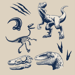 Graphic collection of raptors isolated Royalty Free Vector