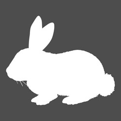 Rabbit Stencil Silhouette Vector Images (over 240)