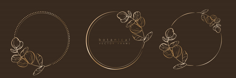 Botanical golden circle frame set hand drawn Vector Image