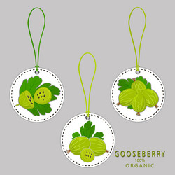 Gooseberry Logo Vector Images (over 380)