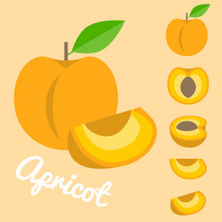 Apricot Vector Images (over 17,000)