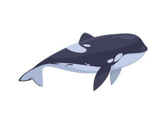 Orca animation in water cartoon animal design Vector Image