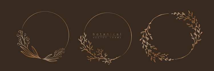 Botanical golden circle frame set Royalty Free Vector Image