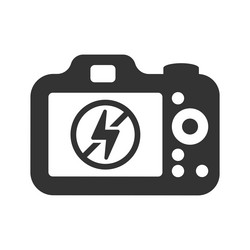Camera information icon Royalty Free Vector Image
