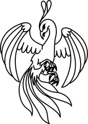 Phoenix Line Art Vector Images (over 2,900)