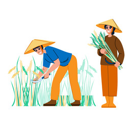 Golden Rice Vector Images (over 2,400)